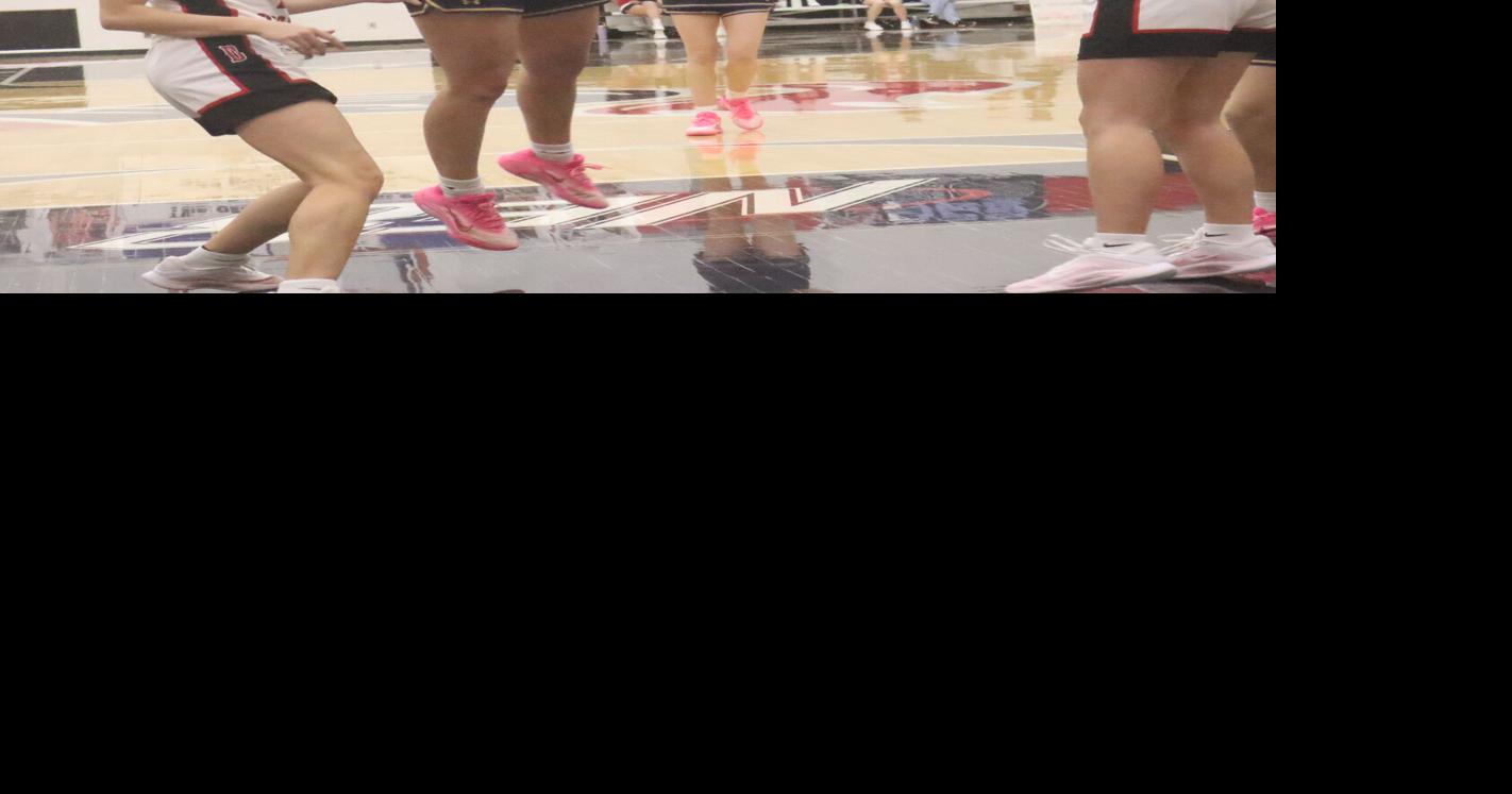 wayne ellington high school