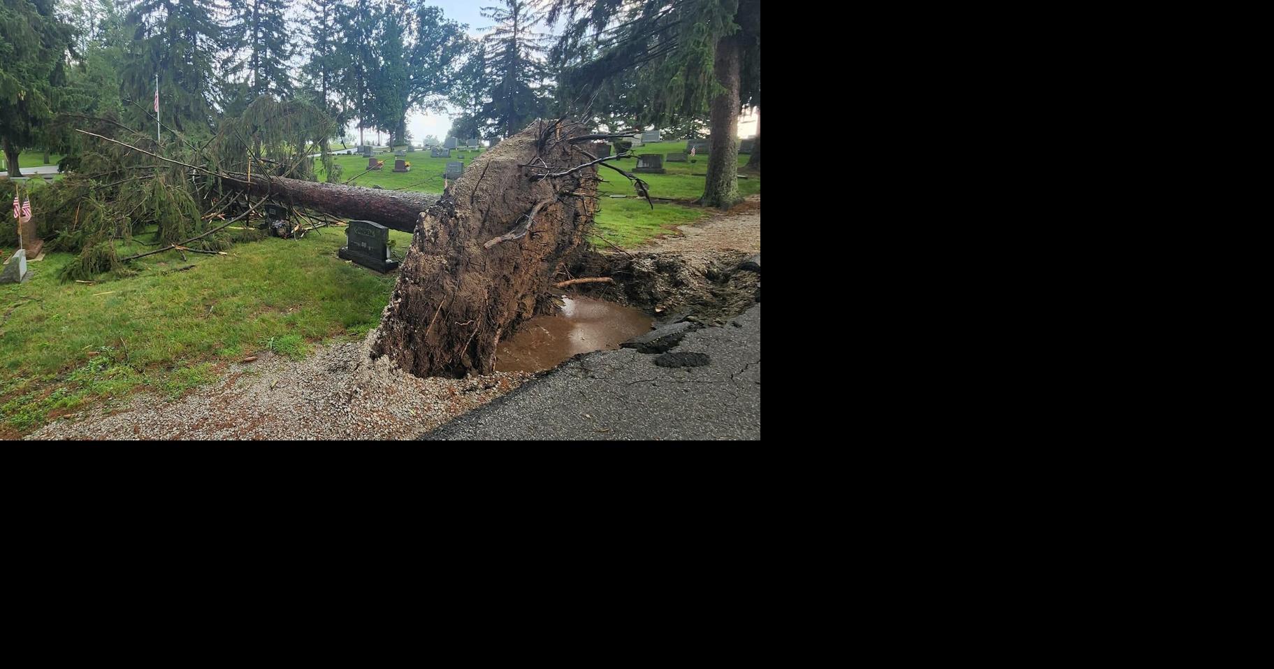 Storm damage | News Sun | kpcnews.com