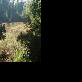 Lydick Bog gains state protection | Heraldrepublican | kpcnews.com