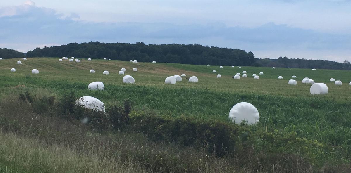 Brightmark changing plastic recycling | Heraldrepublican | kpcnews.com