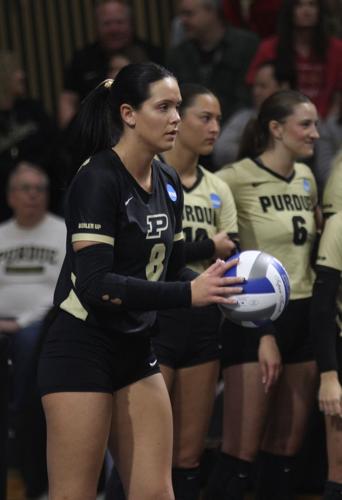 Driven Purdue spikers roll over Fairfield in NCAA opener | Newssun ...