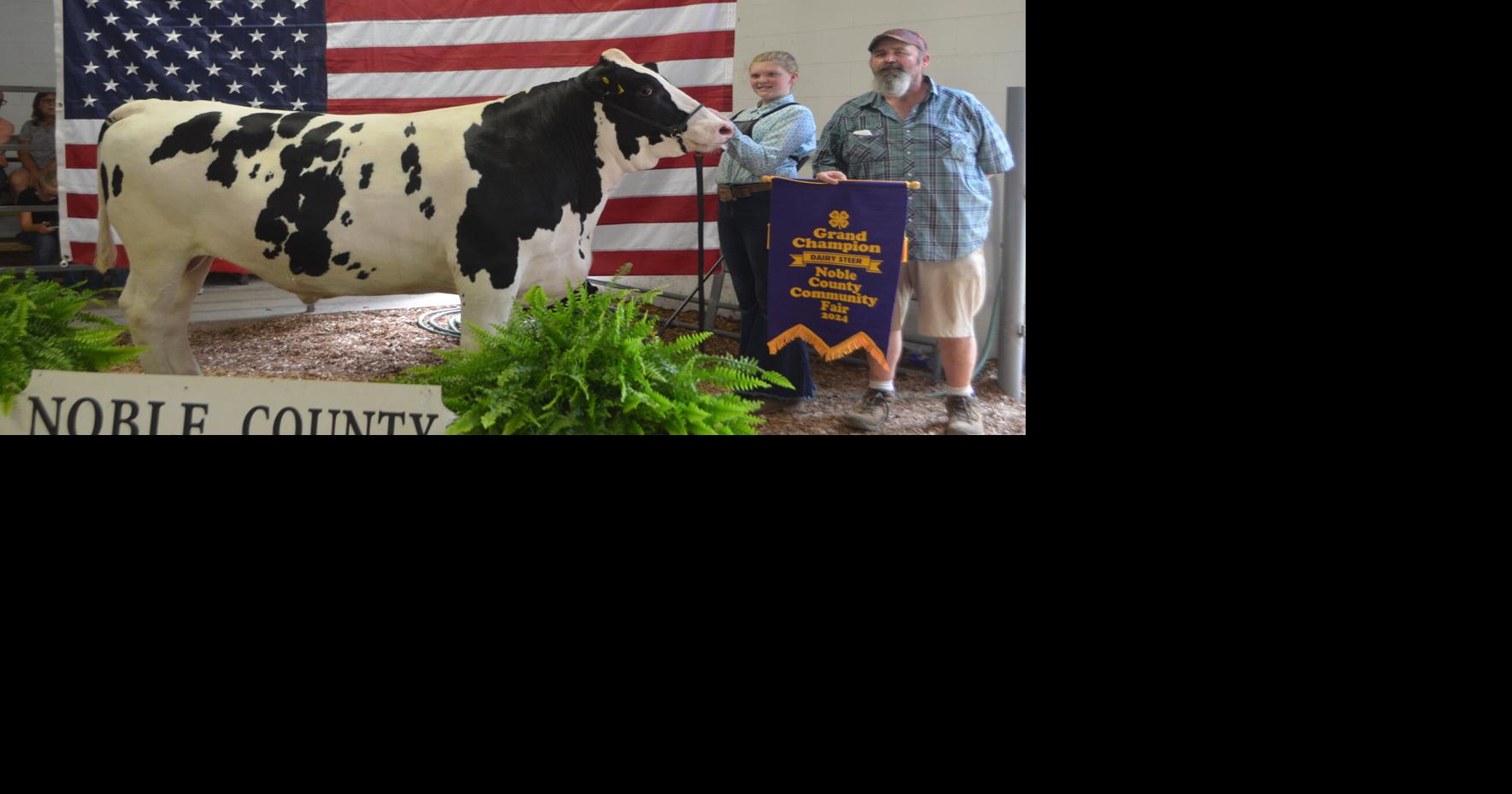 Grand Champion Dairy Steer | News Sun | kpcnews.com