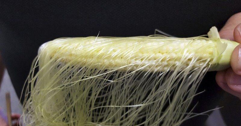 Tassels, pollen, silks and ears: Corn’s reproduction stages | Features ...
