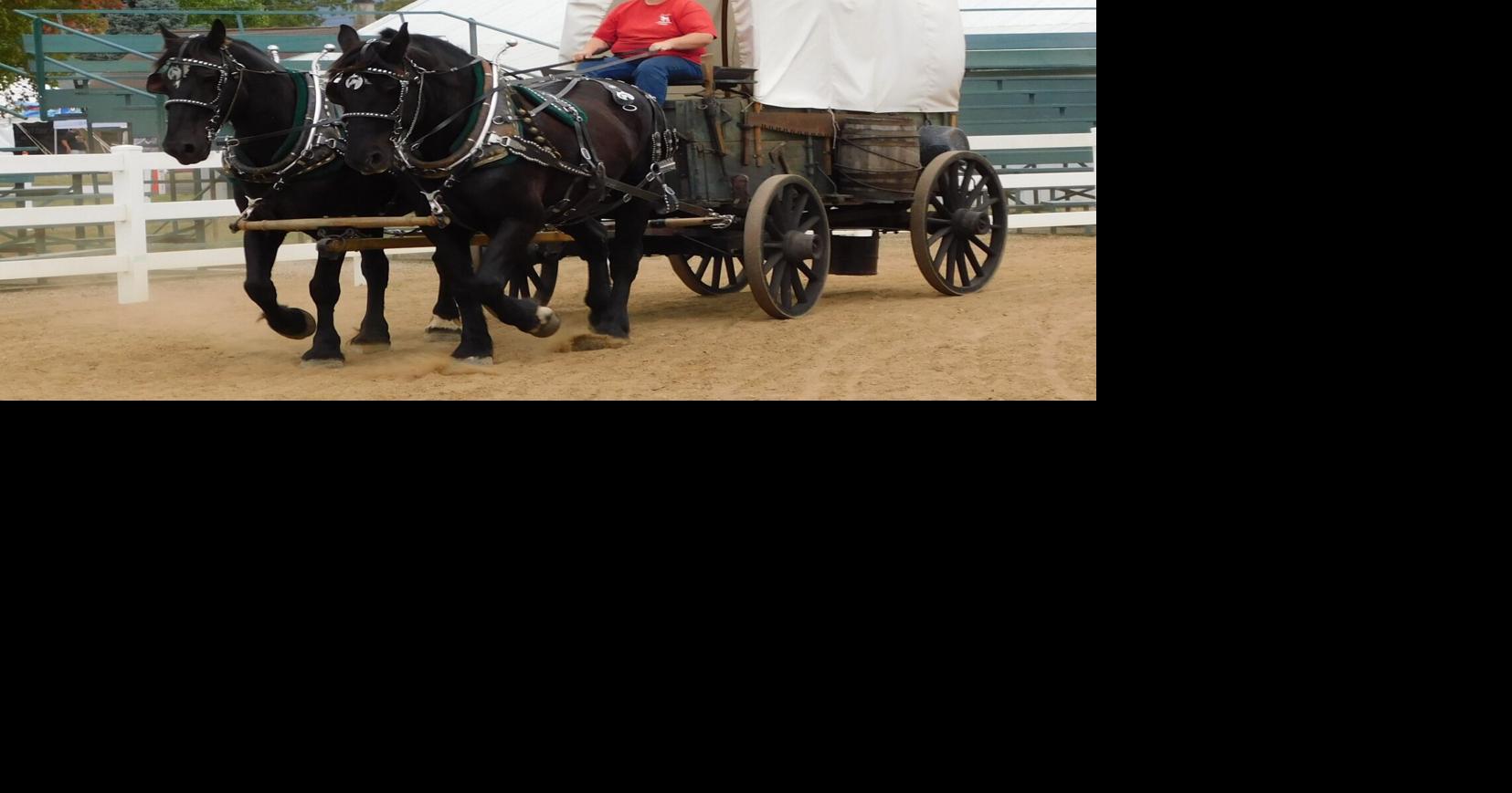 DeKalb Horsemen's Association ramps up mission projects | Thestar ...