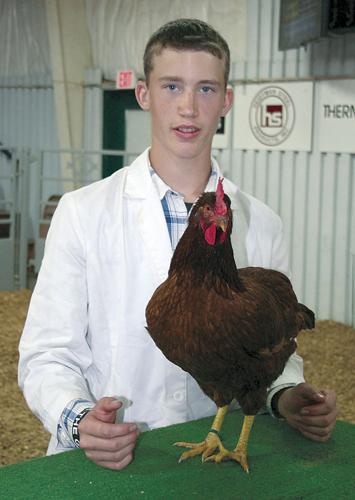Fairfield Farmers 4-H’er named top poultry showman | News | kpcnews.com