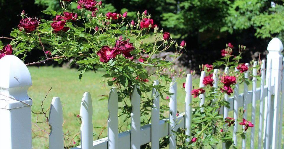Reflective fence can damage heat-sensitive plants | Columnists ...