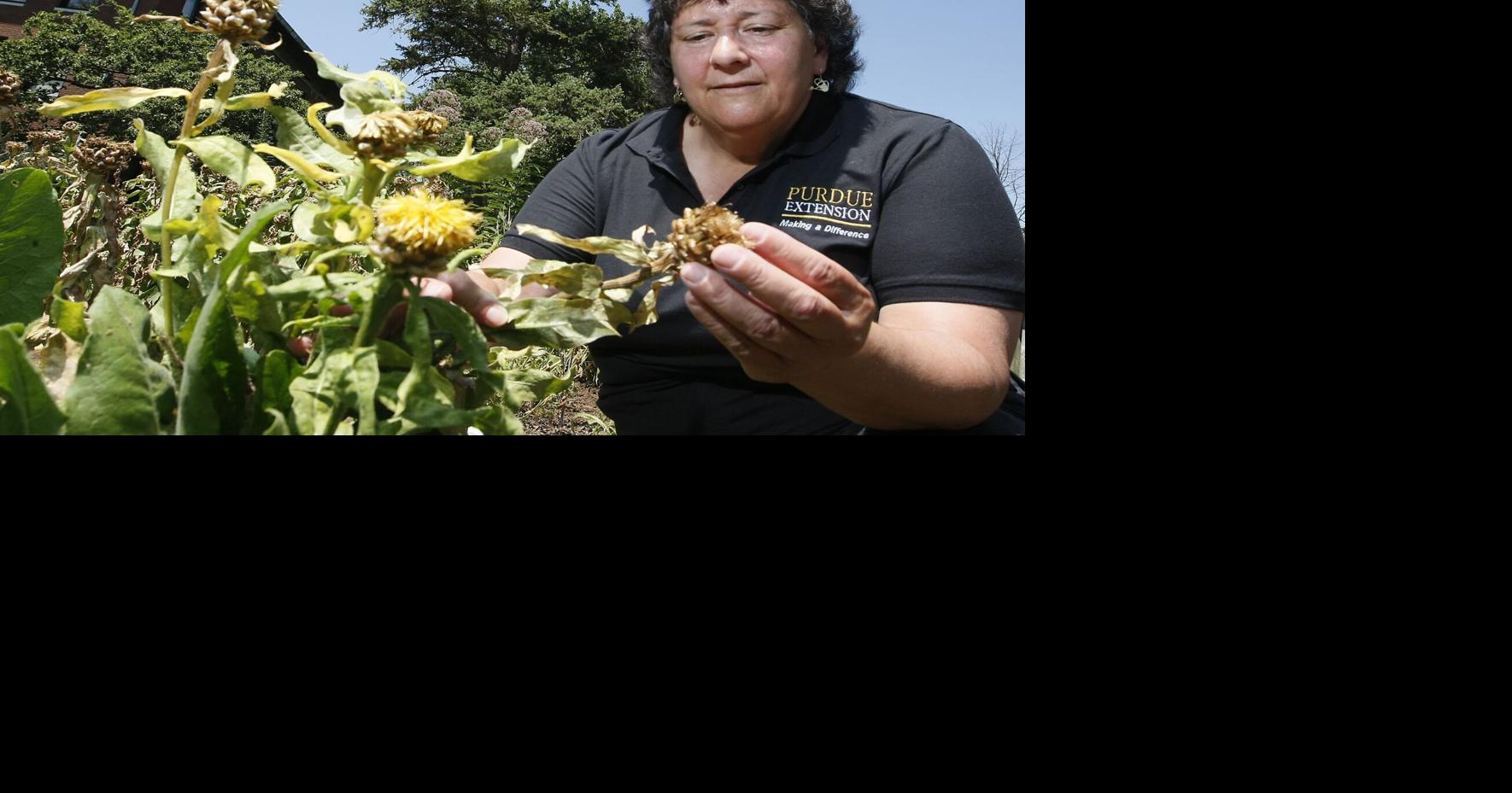 Watering the garden just right | Elysia Rodgers | kpcnews.com