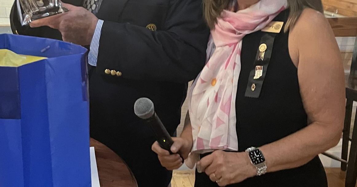 Roush named Rotary district governor for northern Indiana | News Sun ...