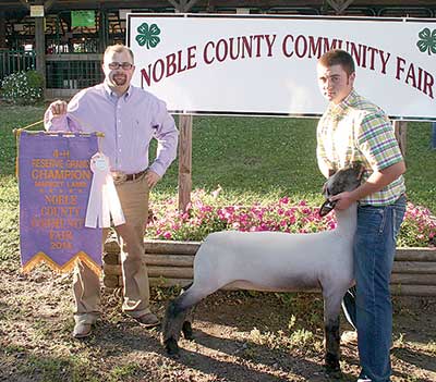 Champions crowned in sheep show | News | kpcnews.com