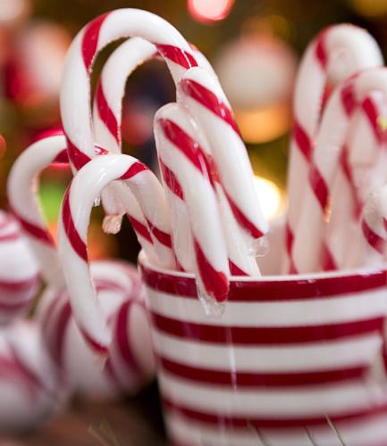The history of candy canes and peppermint farming | Elysia Rodgers ...