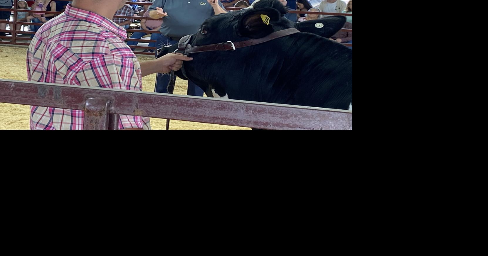 Henney takes top honor in 4-H beef show | Heraldrepublican | kpcnews.com