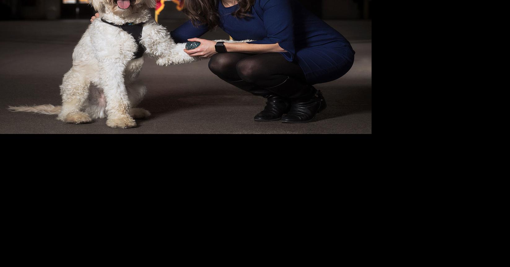 Service dogs help veterans with PTSD | Thestar | kpcnews.com