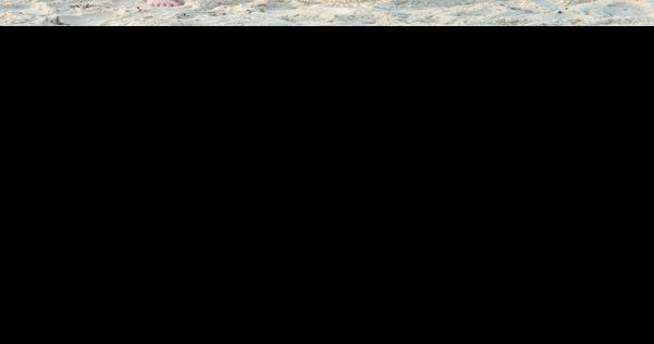 Jacob Flynn family | | kpcnews.com