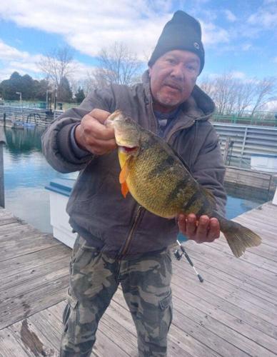 State record yellow perch caught | Outdoors | kpcnews.com