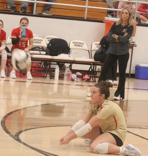 Warriors receive serve in sectional final | | kpcnews.com