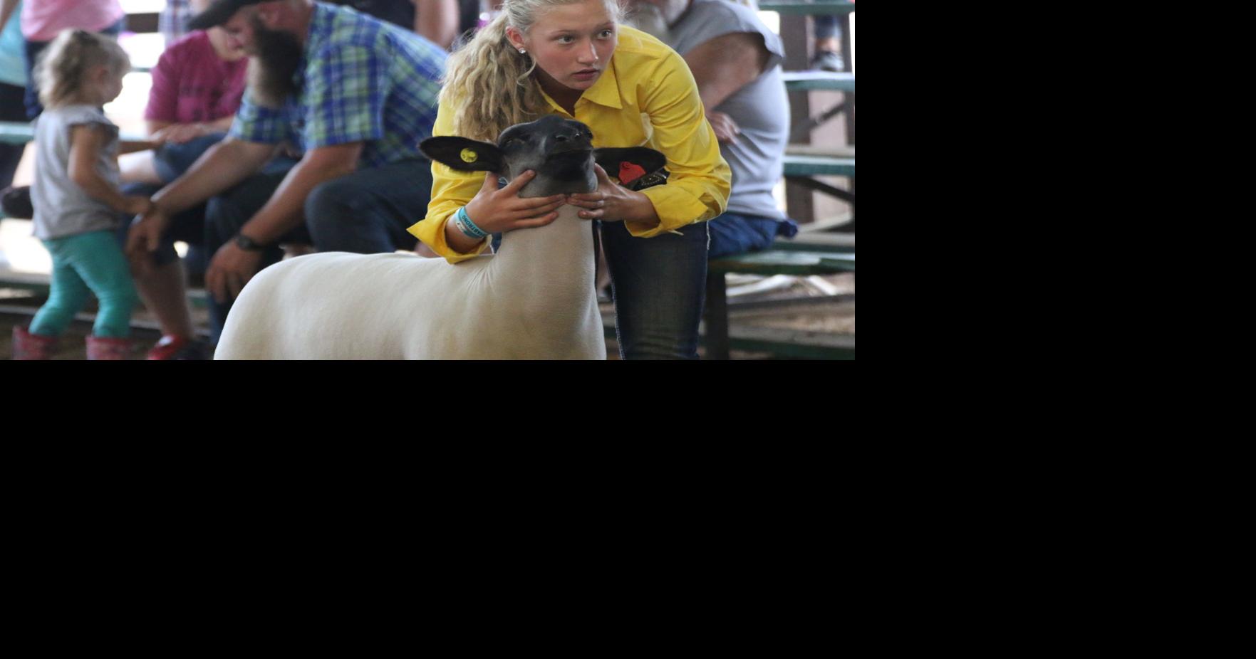 Henney sisters steal sheep show | Heraldrepublican | kpcnews.com