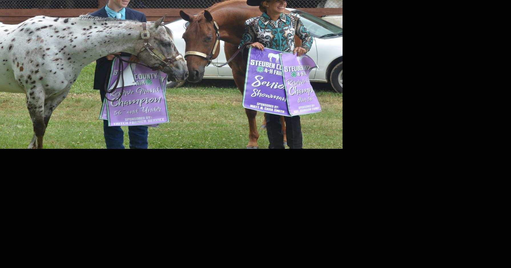 Horse and pony sees new showmanship workings | Heraldrepublican ...