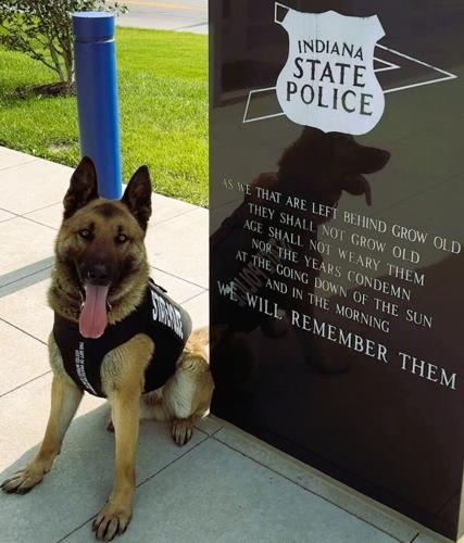 ISP K9 Knox receives protective vest | Thestar | kpcnews.com