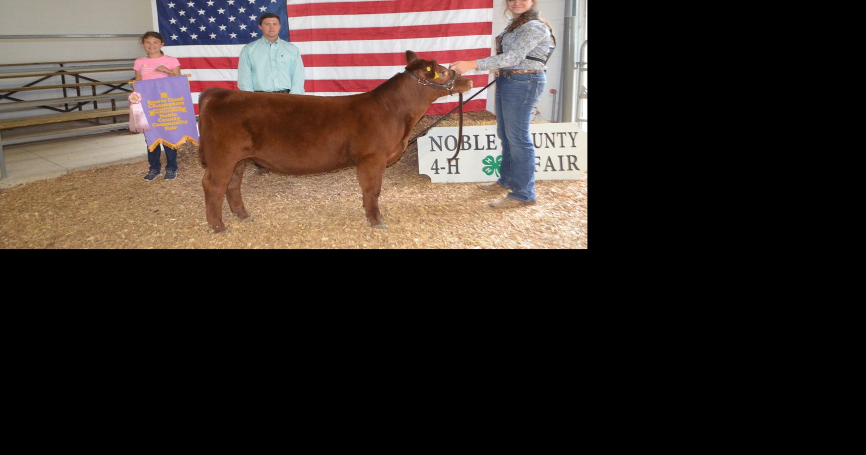 Reserve grand champion beef feeder calf | News Sun | kpcnews.com
