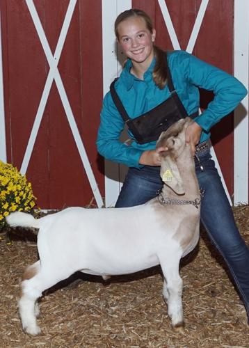 DeKalb 4-H Goat Madison Haynes | Features | kpcnews.com