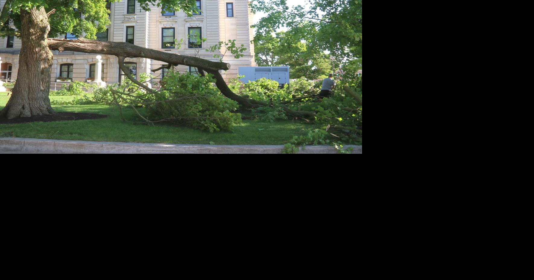 Trees damaged at courthouse | Thestar | kpcnews.com