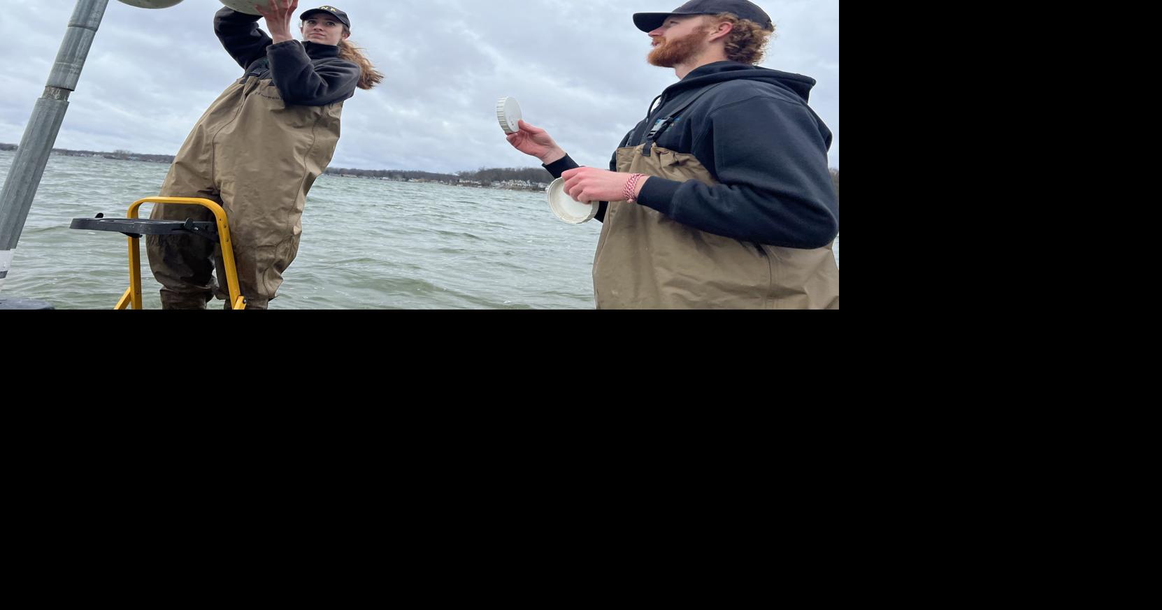 America’s beloved purple martins return to Indiana | Outdoors | kpcnews.com