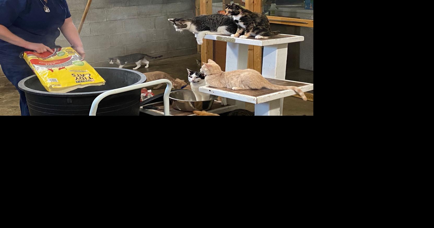 Animal shelter workers | | kpcnews.com