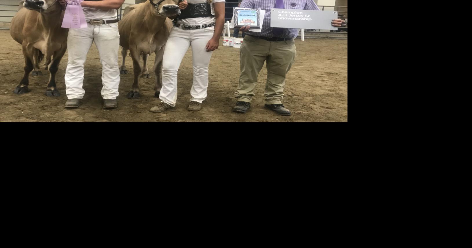 Bachelor takes top showman honor in State Fair dairy | Heraldrepublican ...