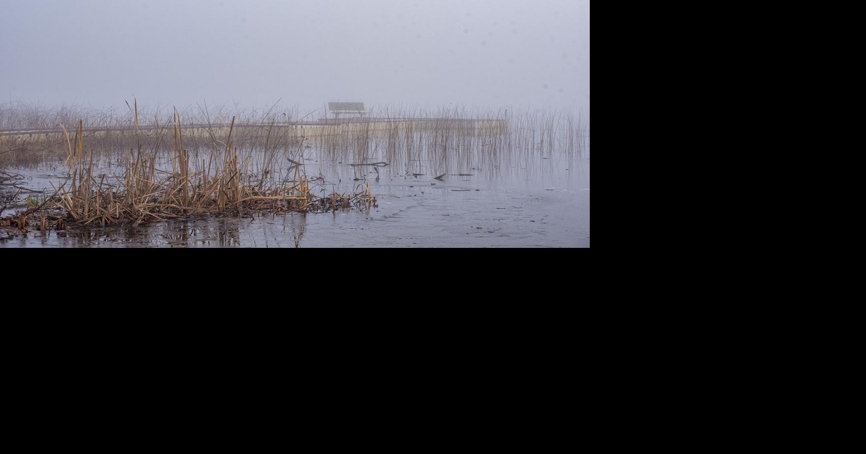 Foggy Friday morning | News Sun | kpcnews.com