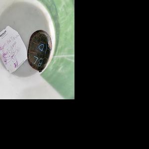 Yes — it’s Batman Turtle | Local | kpcnews.com