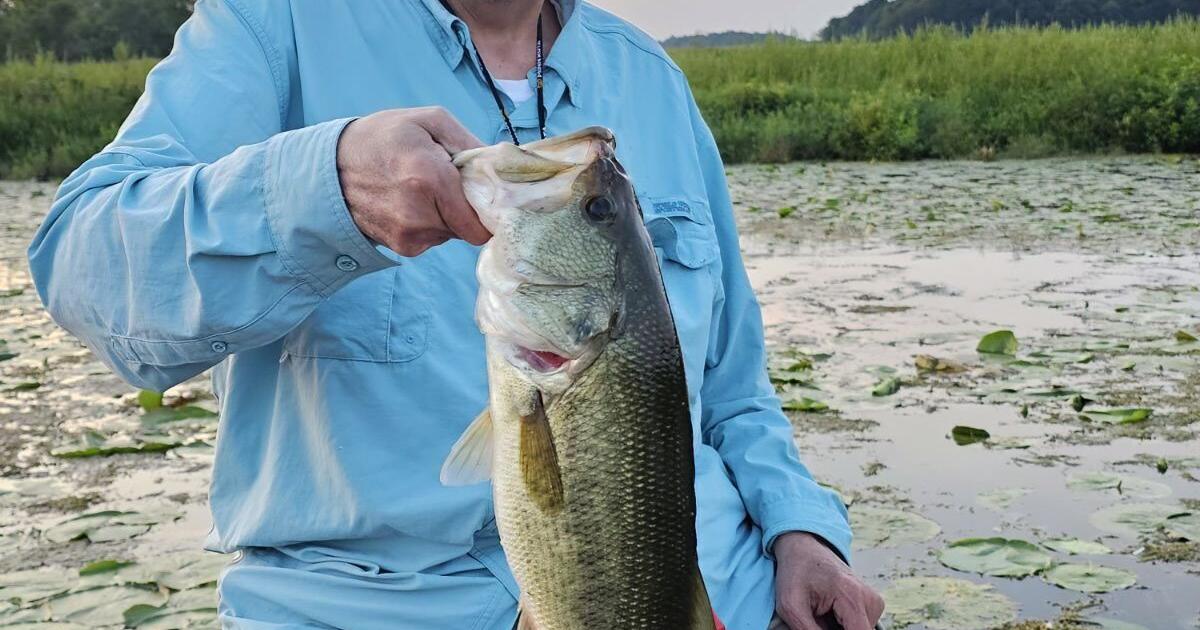 Great fishing at Hogback Lake | Outdoors | kpcnews.com