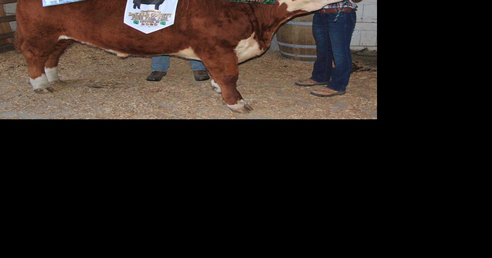 DeKalb 4-H Beef champions 1 of 1 | | kpcnews.com