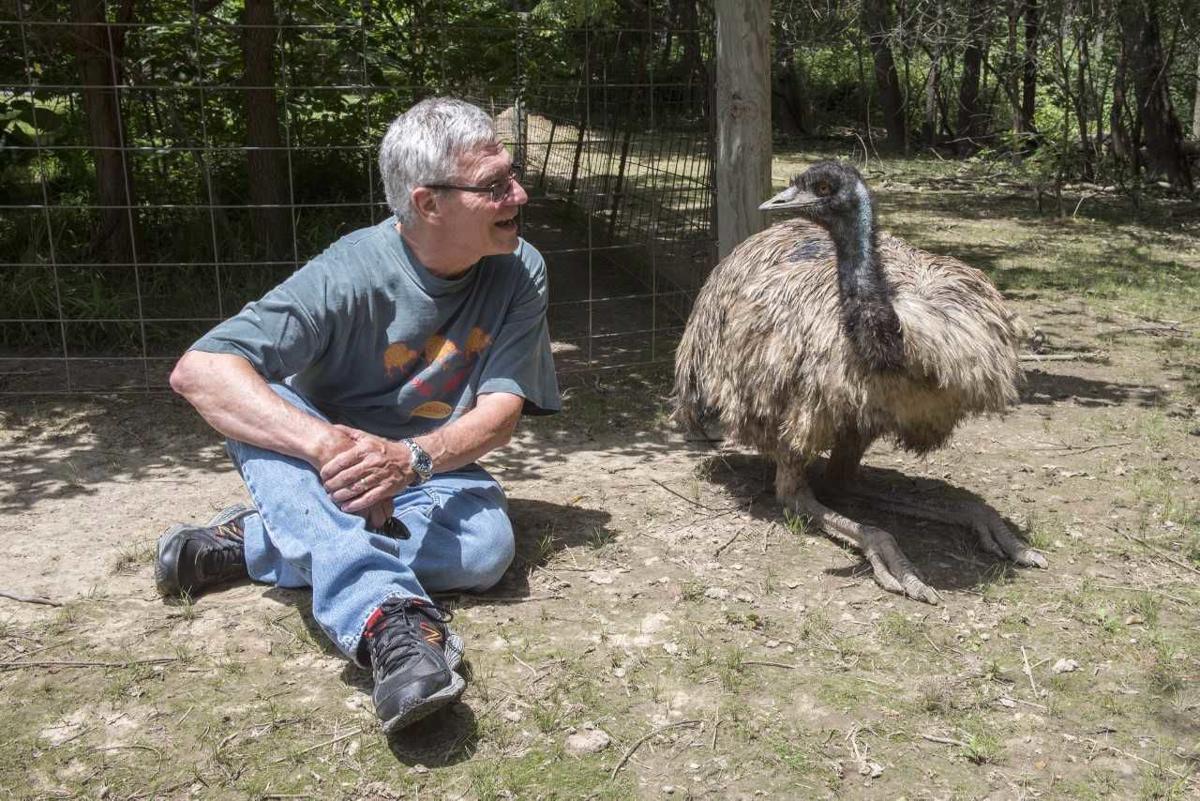 Auburn paleontologist’s book spans his life work | Thestar | kpcnews.com