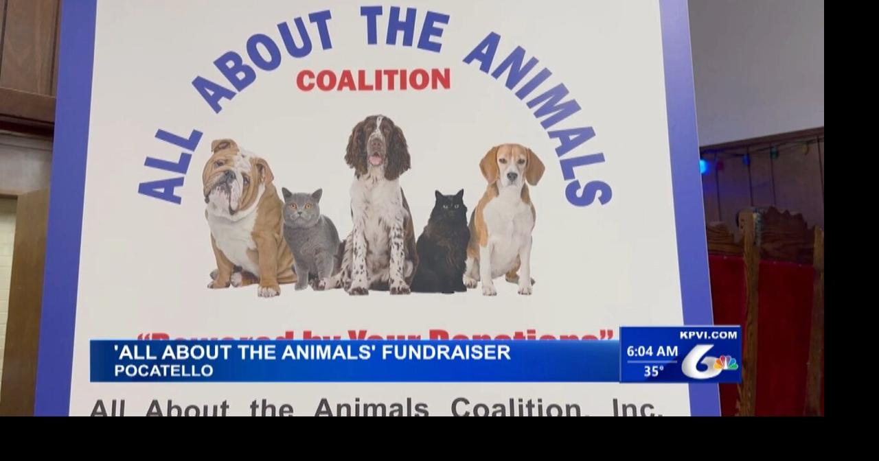 All About the Animals Coalition Holds Fundraiser | Local News | kpvi.com