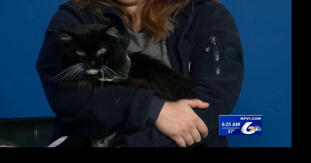 Tail-Wagger Wednesday December 21, 2022 | Local News | kpvi.com