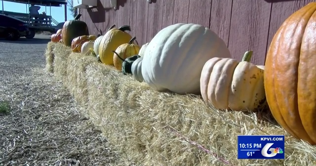 Swore Farms Prepares for 25th Year of Fall Fun | Local News | kpvi.com