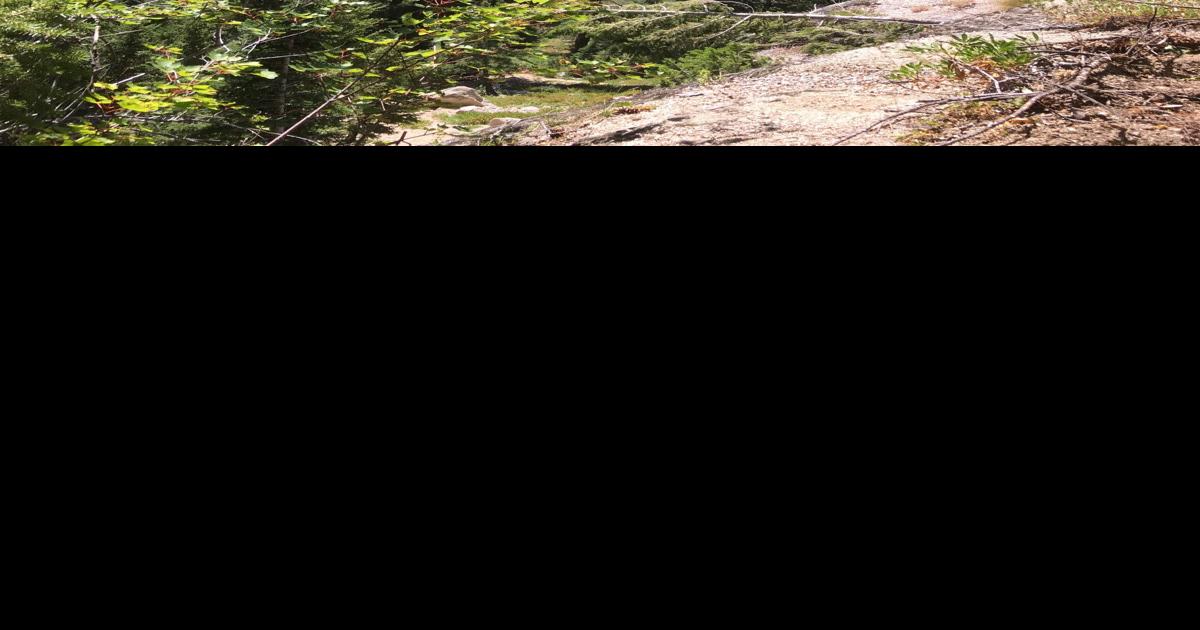 Woman rescued after being stranded on ledge | Local News | kpvi.com