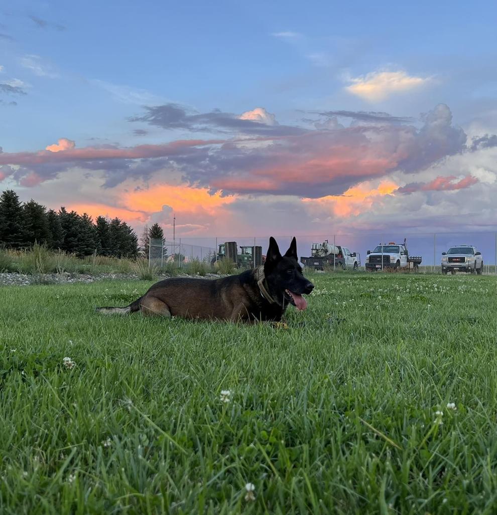 Bingham County Sheriff's Office Loses K9 Deputy | Local News | kpvi.com