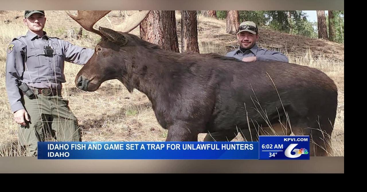 Idaho Fish and Game Deployed Artificial Animals to Catch Lawbreaking ...