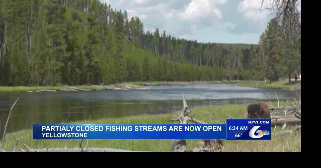 Select Rivers and Streams in Yellowstone are Now Fully Open for Fishing ...