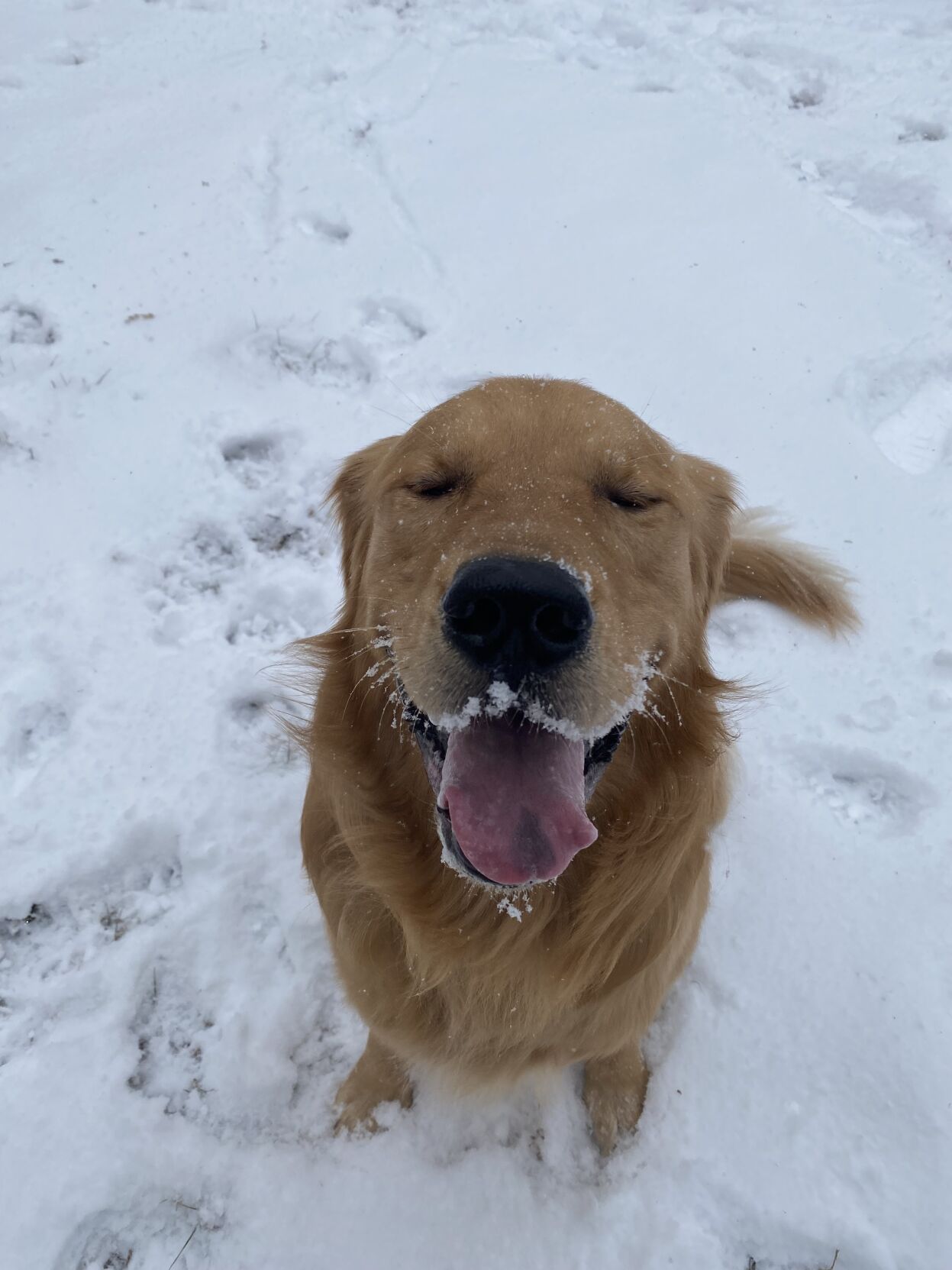 Kade Calvin - "Bruce" | Weather Pix | kpvi.com