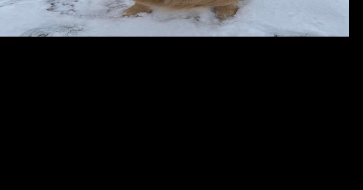 Kade Calvin - "Bruce" | Weather Pix | kpvi.com