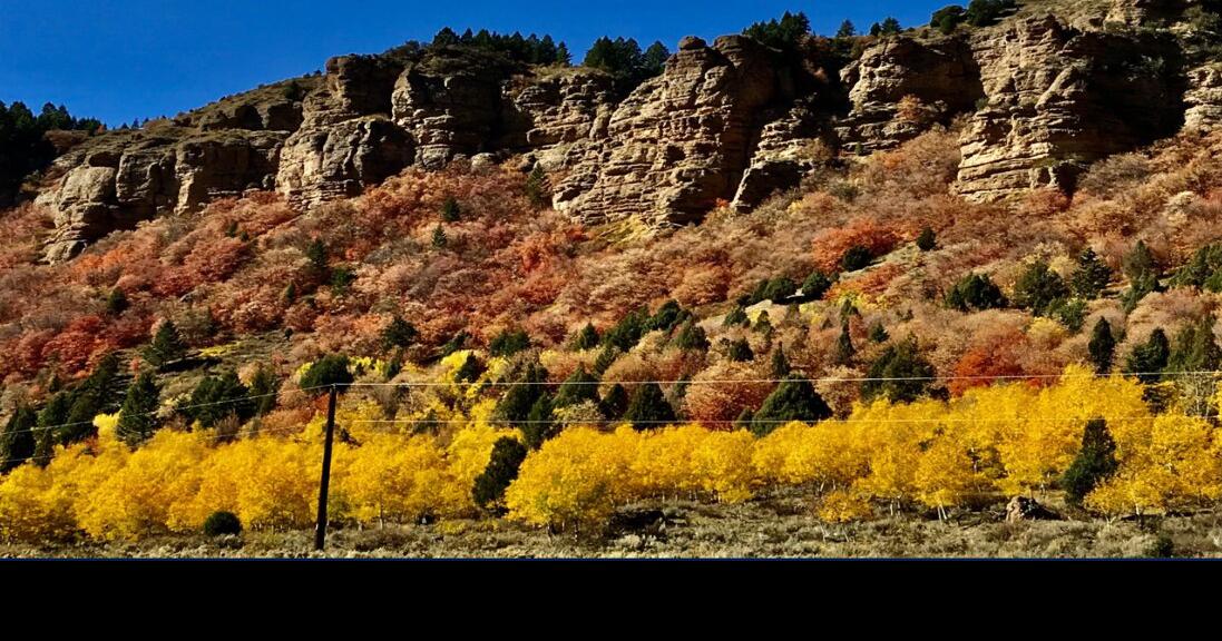 Carole Helgerson - Fall 2021 | Weather Pix | kpvi.com