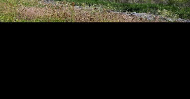 South Valley Connector Making Progress | Local News | kpvi.com