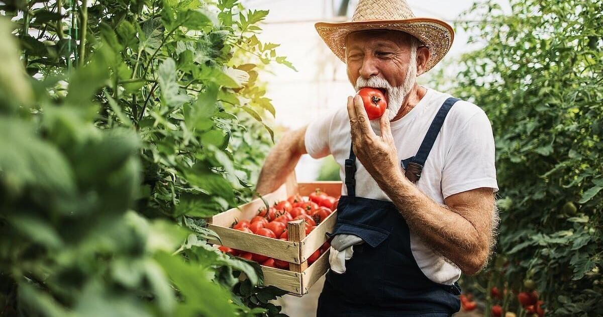 Popular Senior Activity Reduces Risk Of Knee Pain, Arthritis ...