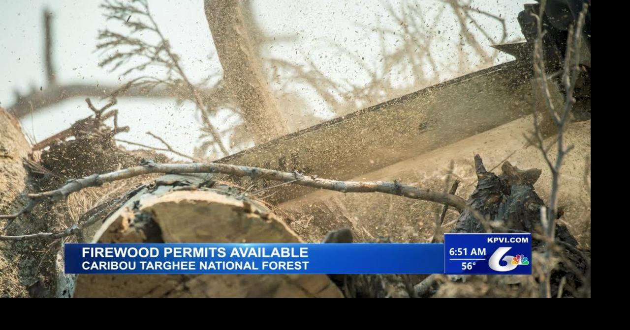 Caribou-Targhee is Selling Firewood Permits for the Fire Season ...