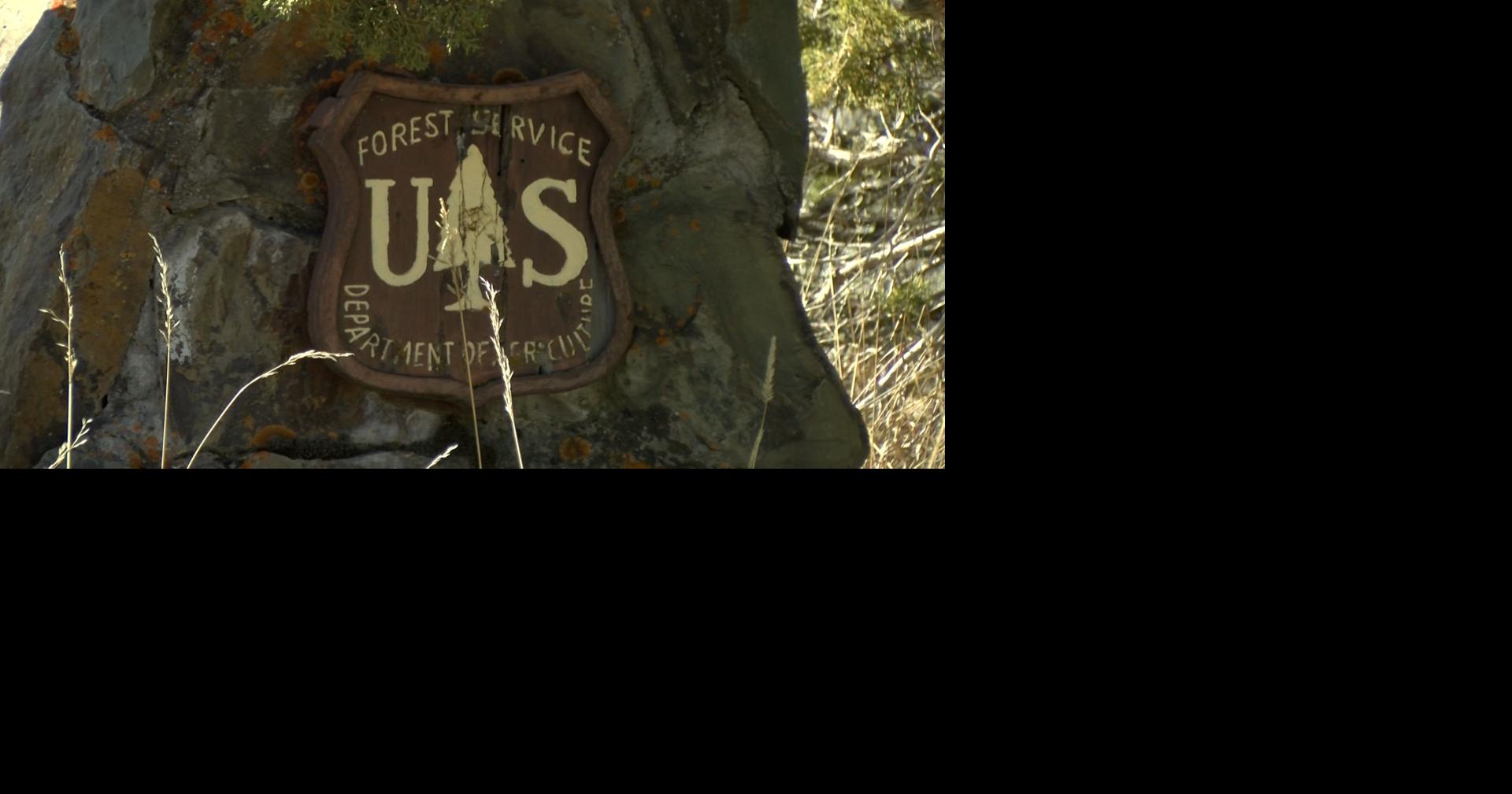 Firewood permits available June 1st from the US Forest Service | Local ...