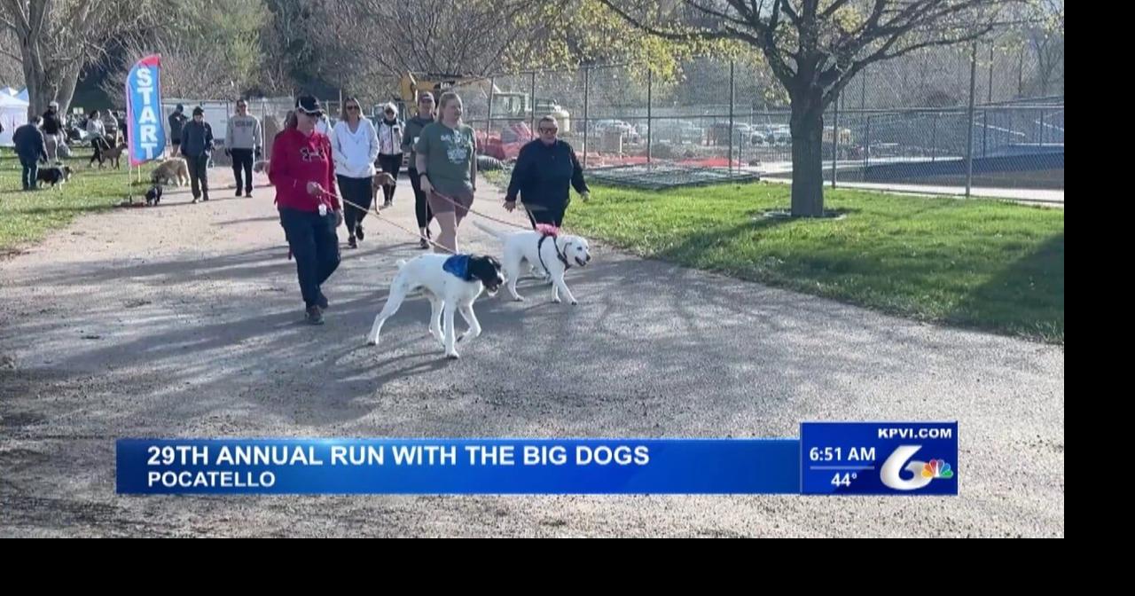 The 29th Annual 'Run with the Big Dog's' Event is Just Around the ...