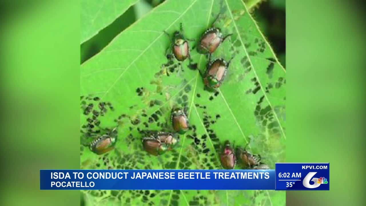 Local News | kpvi.com