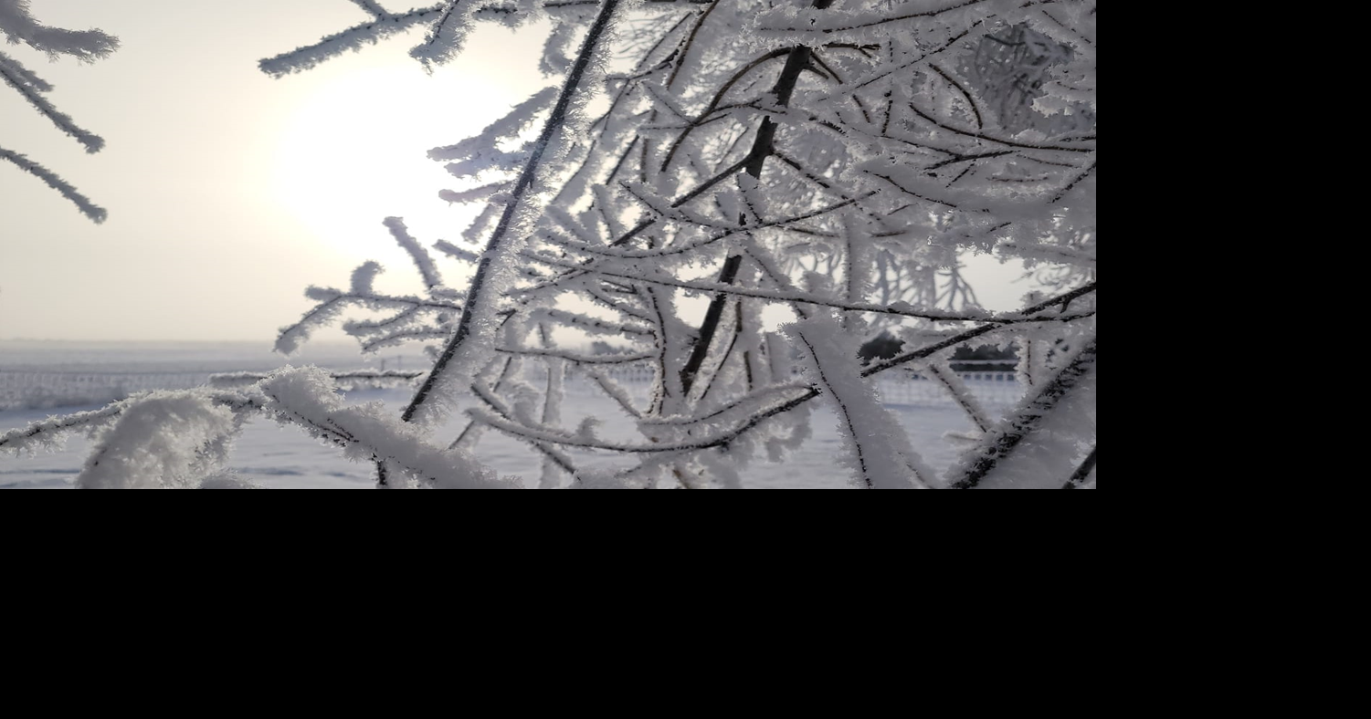 Michelle Green Costa - Arimo (Dec. 13, 2023) | Weather Pix | kpvi.com